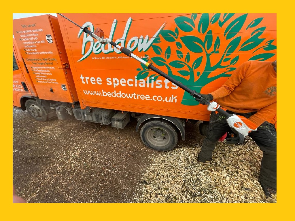 Stihl HLA86 Long Reach Electric Telescopic Hedgecutter - Beddow Tree ...